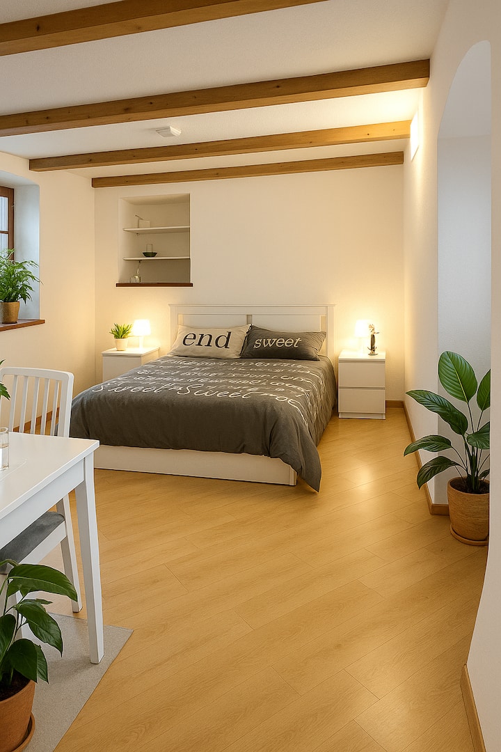 Romantico Monolocale In Casa Del 700 - Trento - Trient