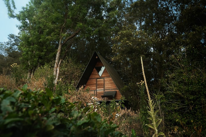 A Frame Cabin Ooty - Ooty