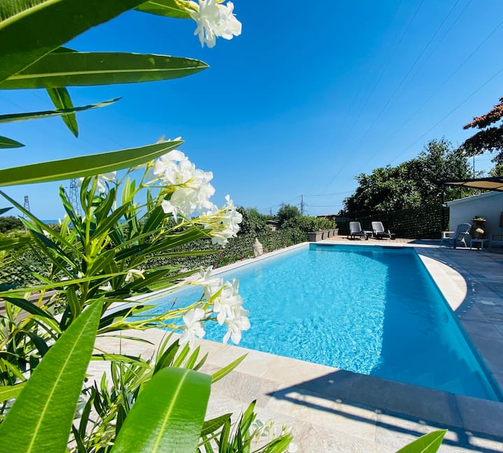 Appartementt3 01+, éTage1, 1glit/2plits,piscine. - Bastia