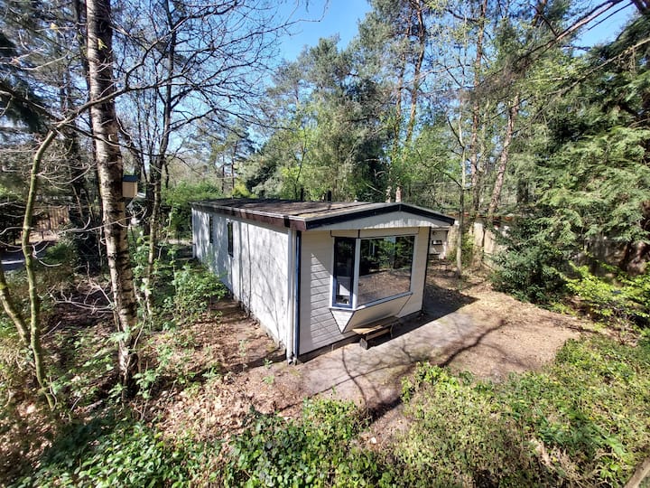Chalet In Hattemerbroek 'Boshuisje Dennenrust' - Zwolle