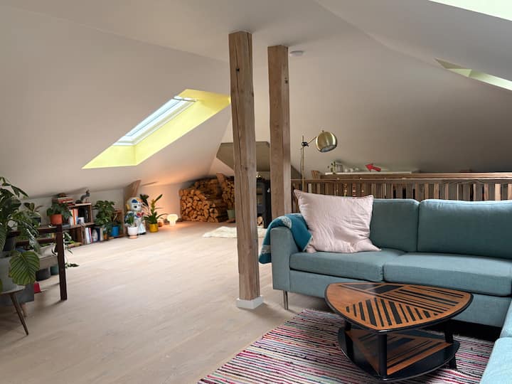 To Etasjes Leilighet På Sjarmerende Vålerenga - 奧斯陸