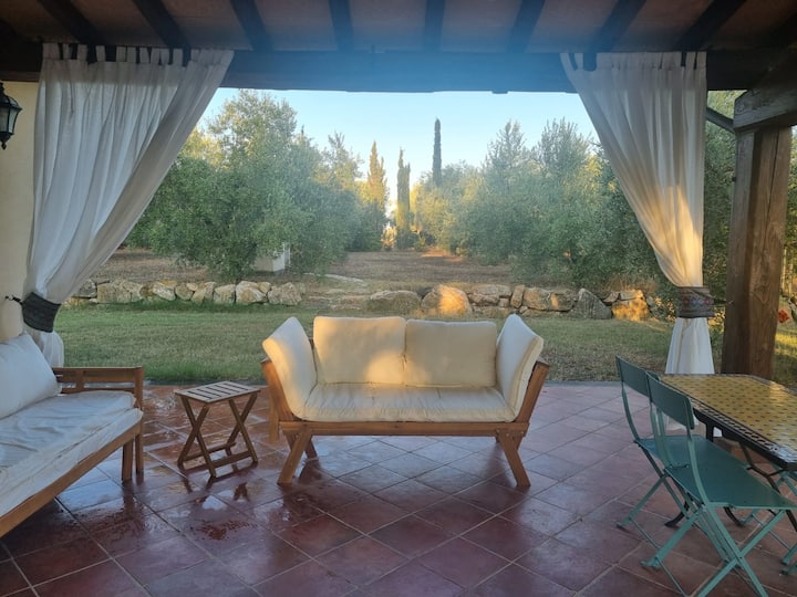 Libera Mente Tra Gli Olivi - Montalto di Castro