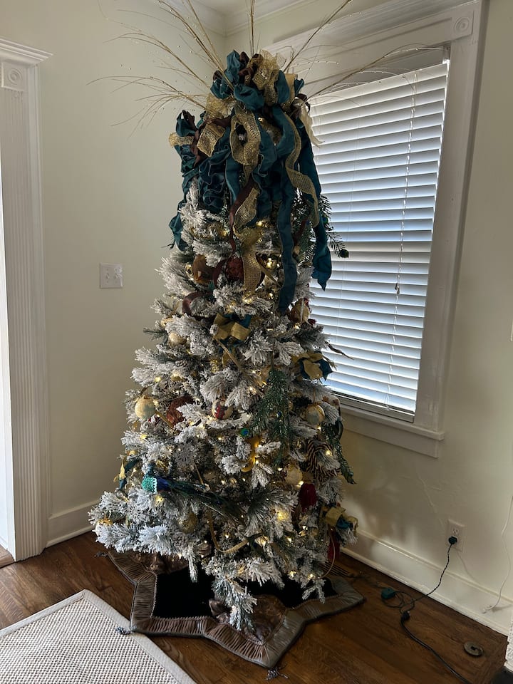 Hillcrest Holiday Home - Little Rock, AR