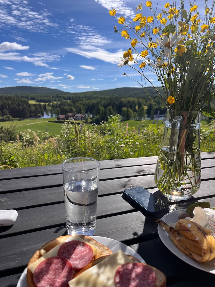 Härlig Utsikt Nära Skidor, Cykling,  Och Golf. - Järvsö
