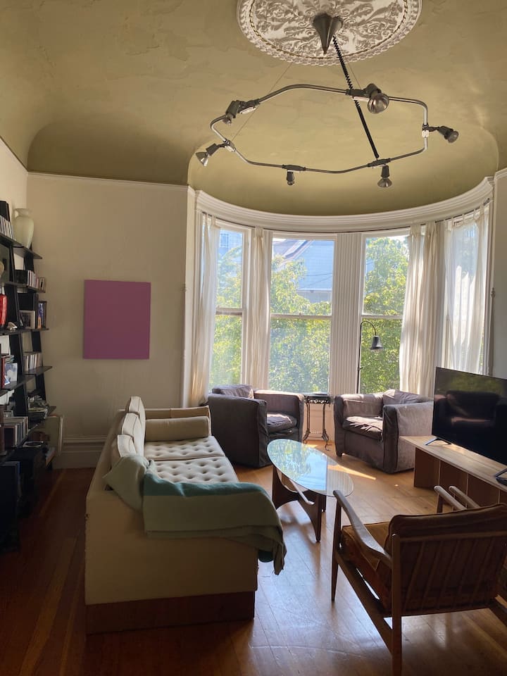 Grand Victorian Flat In Mission Sf - Mission District - San Francisco