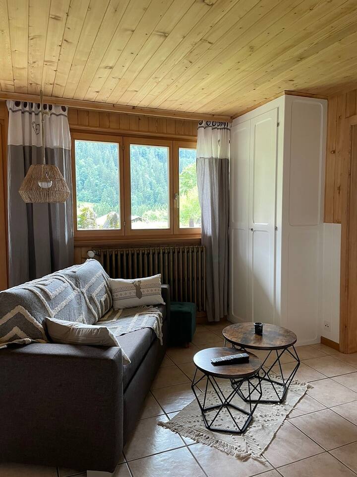 Appartement En Résidence Avec Parking Couvert - Les Diablerets
