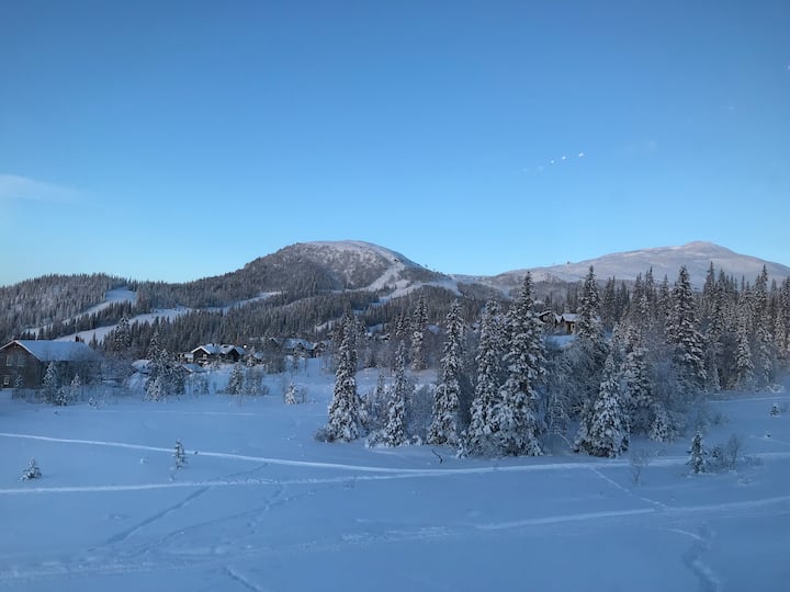 Ski In/ski Out Och Sommar I ÅRe Sadeln - Sverige