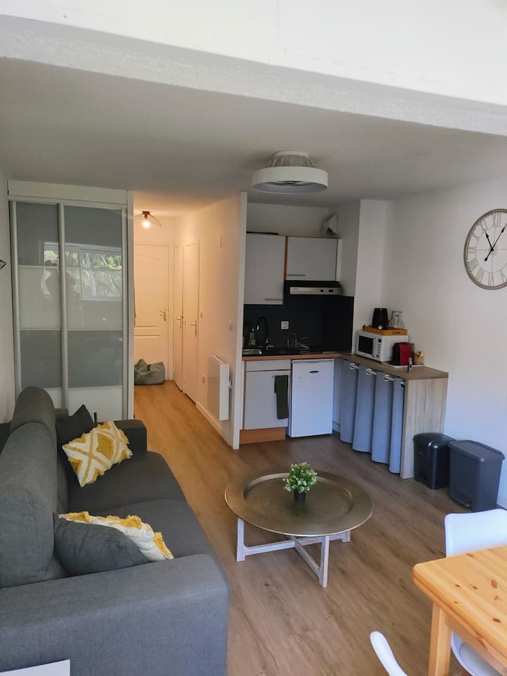 Agréable Studio à 200m De La Grande Plage De Calvi - Calvi