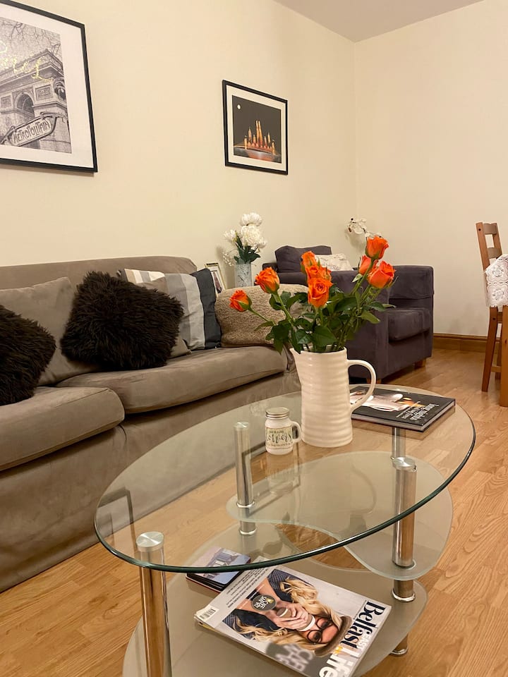 Excellent 2 Bedroom Apartment Close To City Centre - Belfast