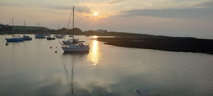 Loughview Cottage With A Window To Discoverni - Helen's Bay