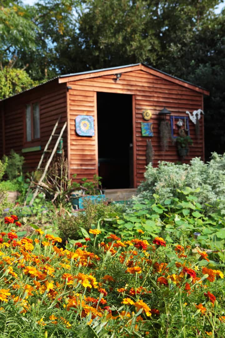 Gypsy Mama In Greyton - Greyton