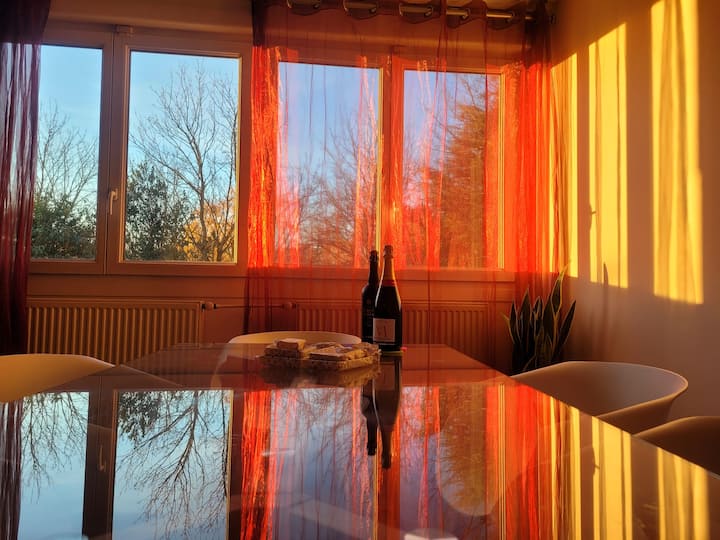 Quiet 3 Bedrooms Apt, 30 Min From Paris Centre - Vincennes