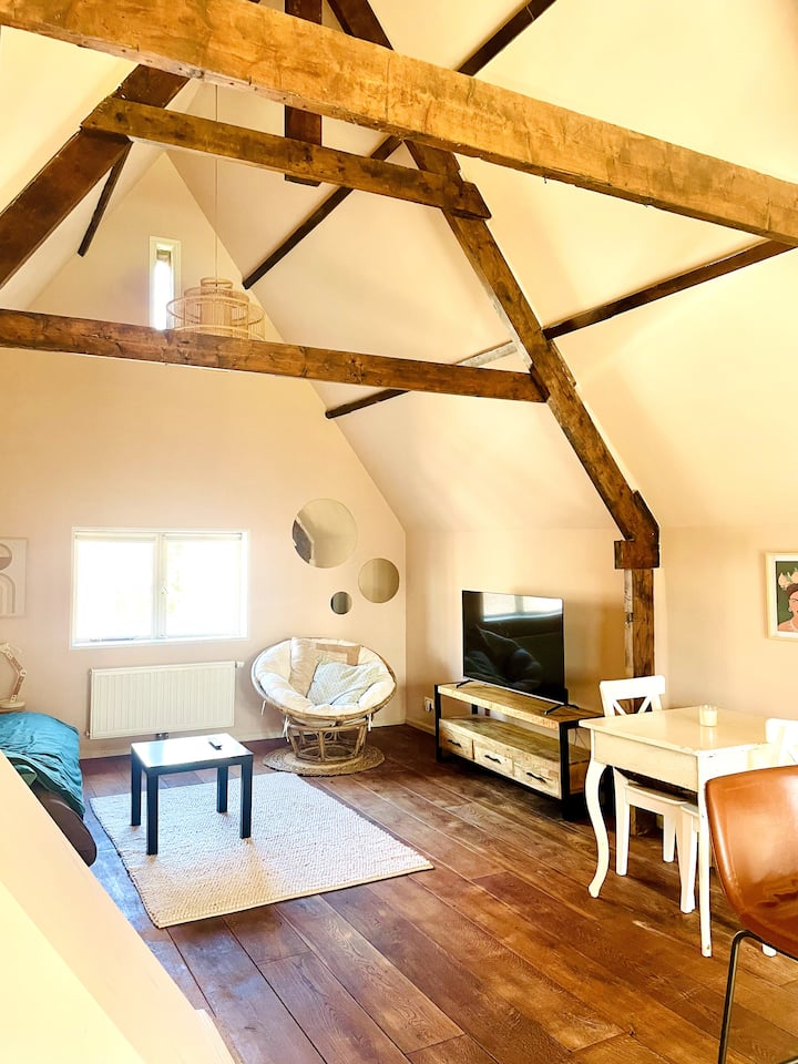 Appartement With Roof Terrace Next To Amsterdam - Volendam