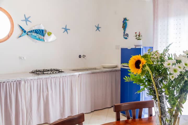 Large Apartment With Private Garden, Barbecue, A/c - Cecina