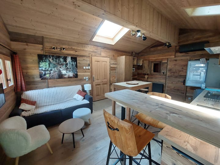 Superbe Appart, Jacuzzi, Terrasse, Vue Montblanc - Passy