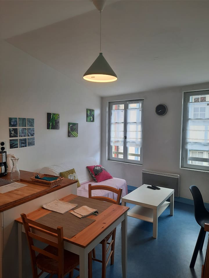 Charmant Appartement T2 Centre-ville Piétonnier - Bayona, Francia