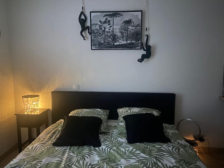 Appartement Idéal Pour Découvrir Les Châteaux - Fondettes