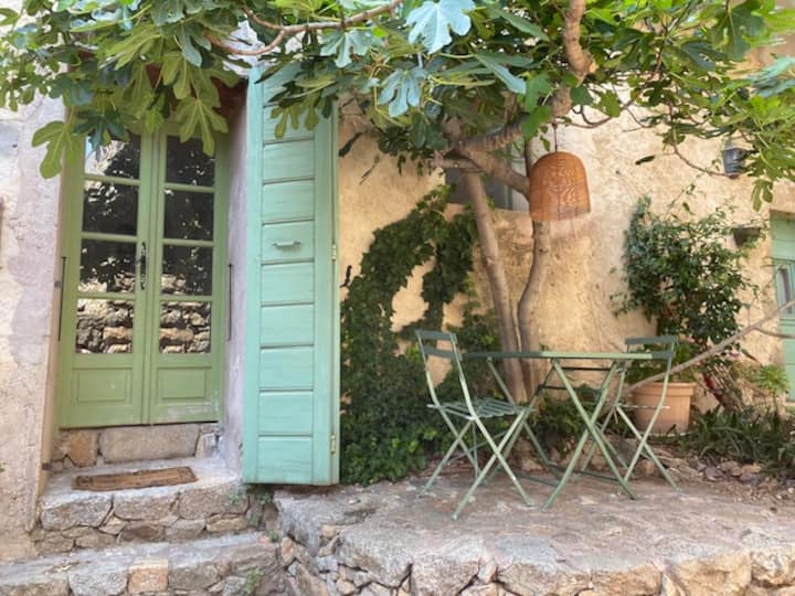 Geckos "Figuier" Appartement Vouté Cœur De Village - Algajola