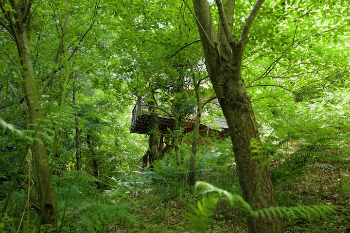 Cévennes Insolites: La Cabane Du Poète - Saint-Jean-du-Gard
