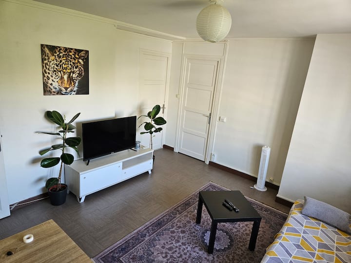 Superbe T2 Grange Blanche - Lyon