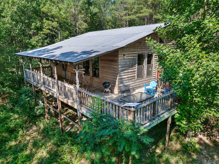 Bird Watchers Paradise!  Near Bankhead And Sipsey. - Lewis Smith Lake