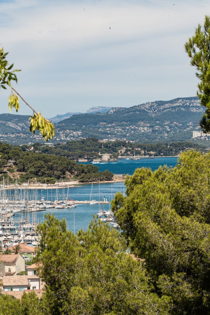 Vue Mer Et Pinède - Var