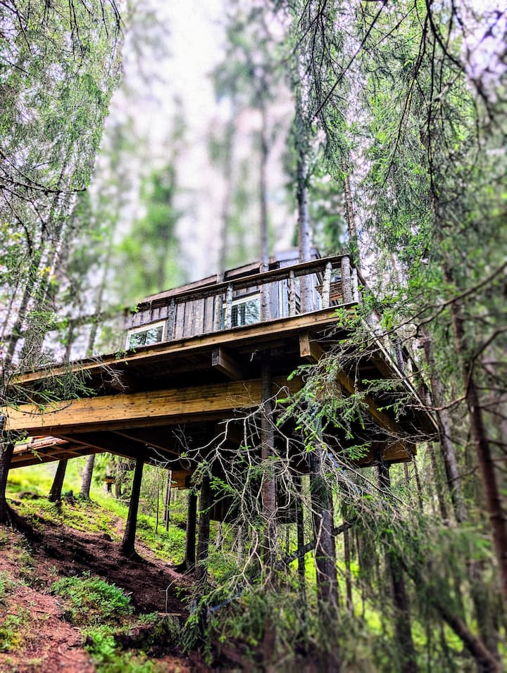 Tree-top-hut In Fairytale Telemark - Lårdal - Dalen