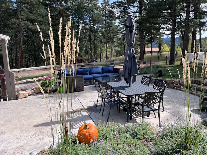 Dog Favorite~cabin~family~couples~2 Fenced Acres - Evergreen, CO