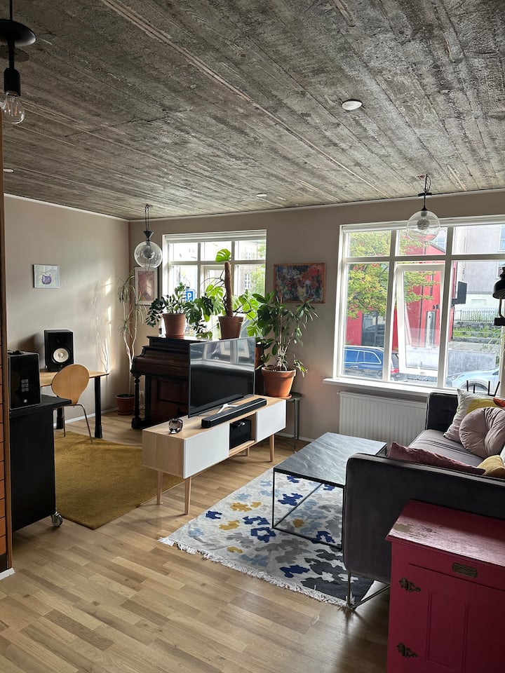 Downtown Urban Retreat: Your Cozy Airbnb - Reykjavik