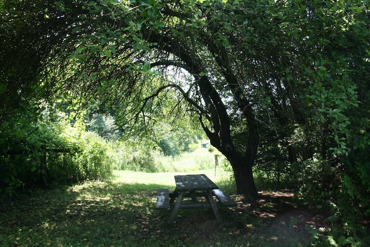 Apple Tree Campsite - St. George