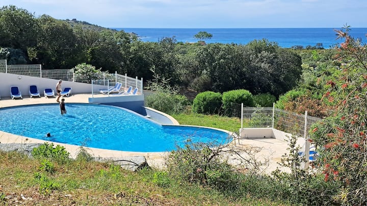 Casa Gabo
Jardin, Piscine Et Mer - Belgodère