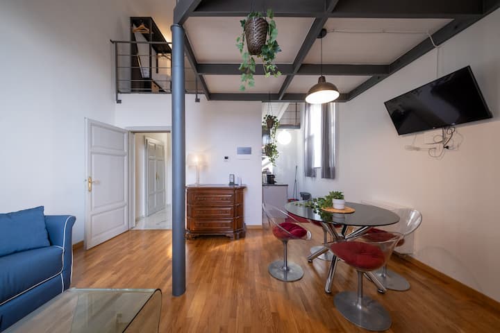 Appartamento Con Soppalco Sul Lungarno Di Pisa - Pisa