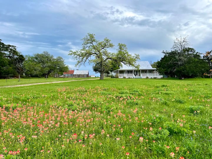 Luxury Farmhouse & Guesthouse / 6mil To The Square - Round Top, TX