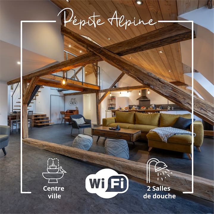 Pépite Alpine - Centre Ville - Wifi - Barcelonnette