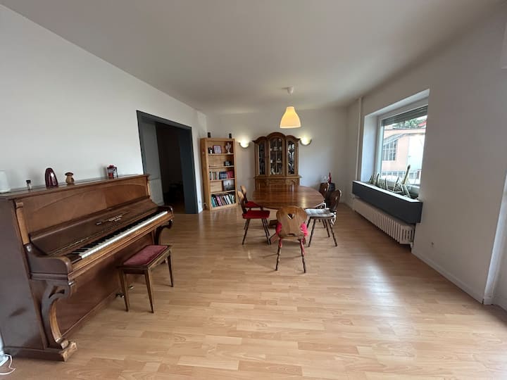 Cosy & Lumineux  Proche Strasbourg - Ibis Strasbourg Centre Petite France