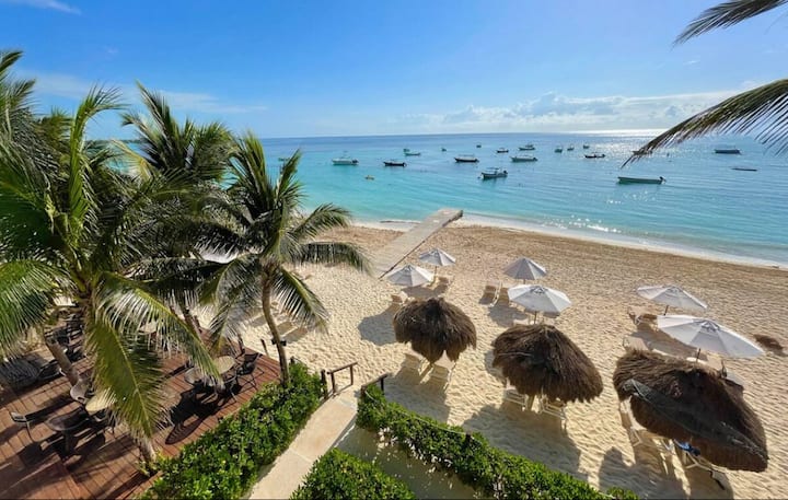 Orquidea Boheme Urban - Playa del Carmen