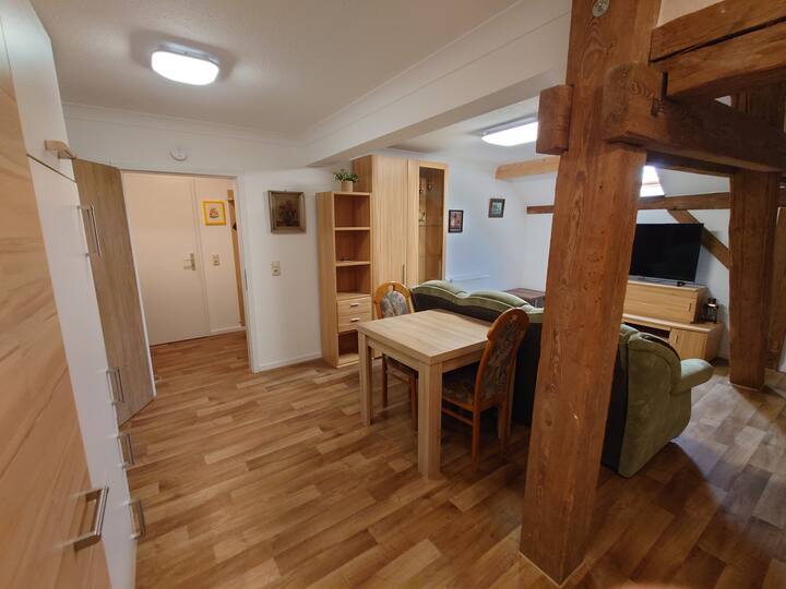 Apartment 6 Zum Kuhstall Heinrichsberg - Magdeburg - Burg (bei Magdeburg)