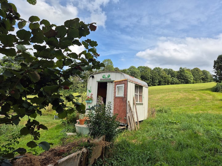 "Grand Steierten Hotel" - Kirchzarten