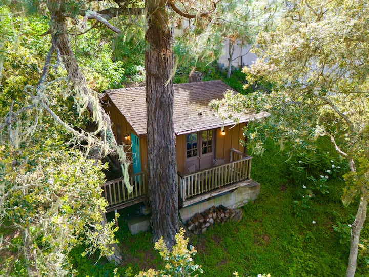 Carmel Rustic Cabin Like A Treehouse + Dog - Monterey, CA