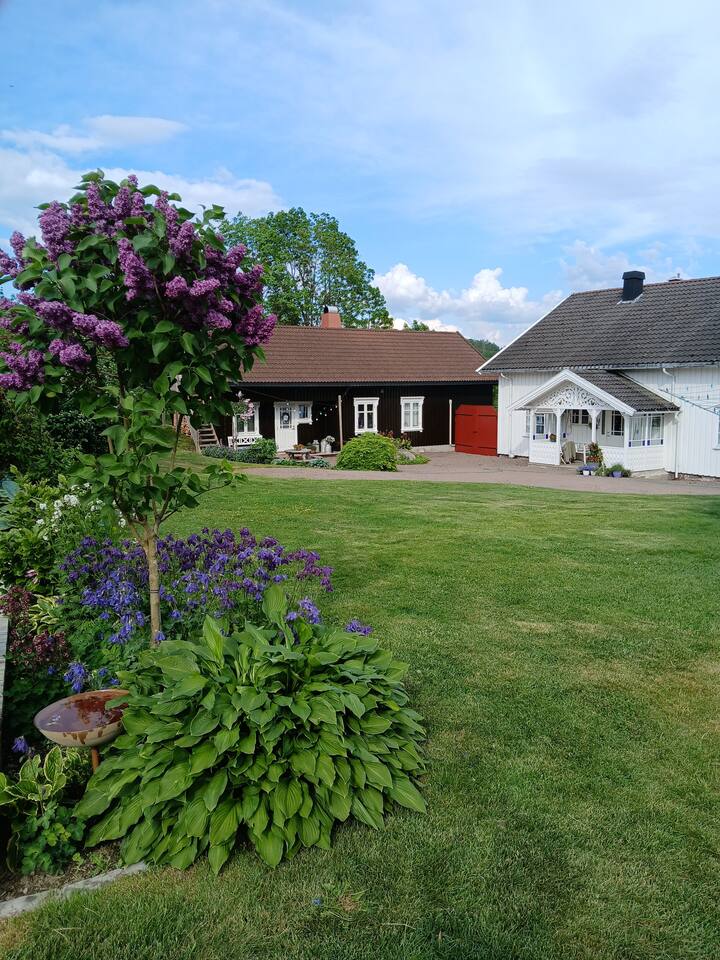 Moderne Hus På Gård Med Badstue Og Badestamp - Norvège