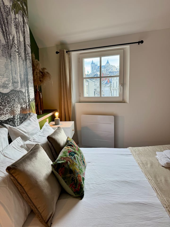 Appartement Vue Château Hypercentre Climatisé - Saumur