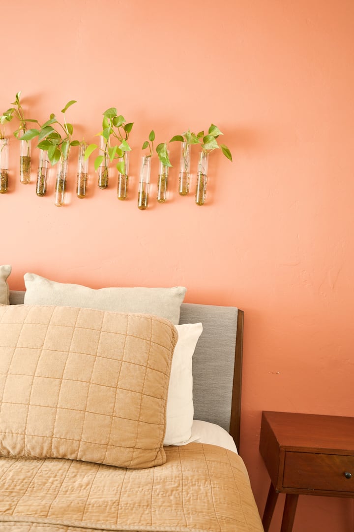 Central San Diego 2 Bedroom House - San Diego, CA