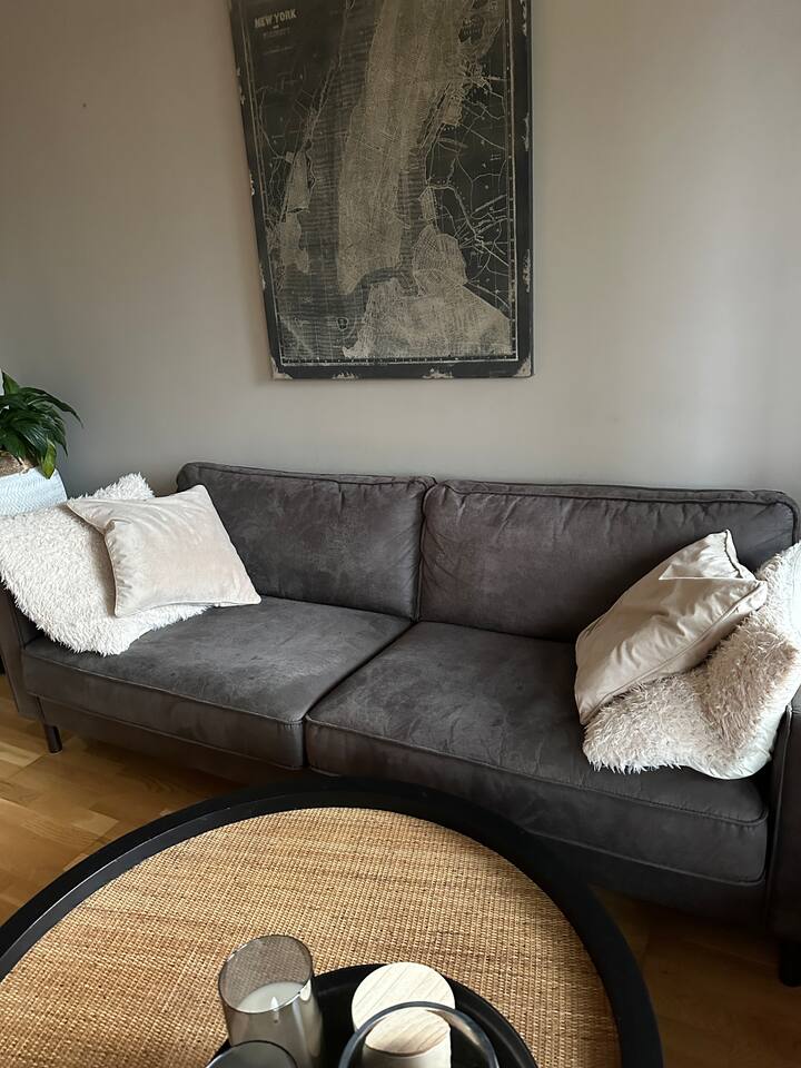 Sentral Egen Leilighet - Trondheim