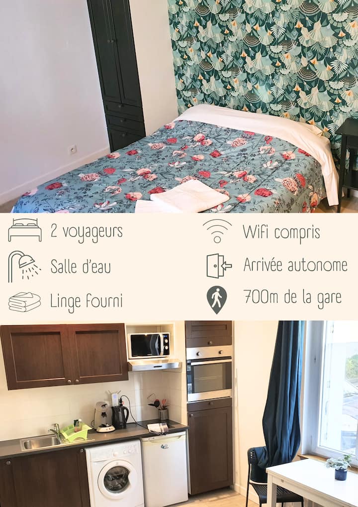Gs4bis- Grand Studio éQuipé Au Rez-de-chaussée. - Tours