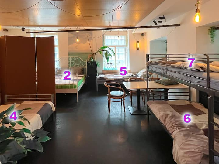 Bar Sleeper/ No Shower/ Bed No 7 - Innsbruck