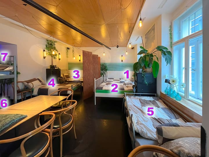 Bar Sleeper/ No Shower/ Bed No 3 - Innsbruck