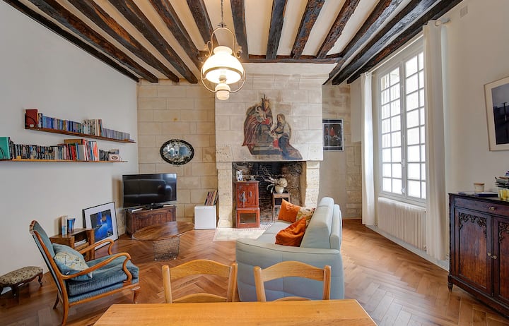 Vieux Tours : Magnifique Appartement Avec Jardin - Tours