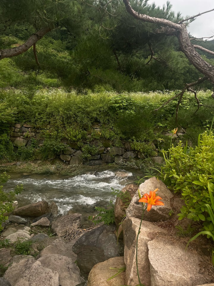 산과 나무가 계곡과 함께 어우러진 아늑한 객실 - 문경시