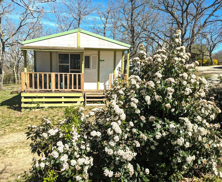 Chalet Pour 5 Personnes - Lavelanet