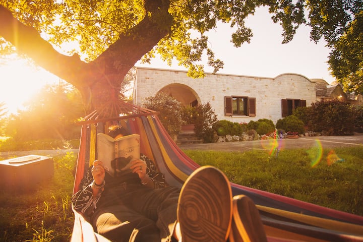 Boschetto In Valle D'itria: Ulivo - Apulia